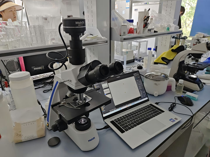 生物显微镜下的微生物涂片观察