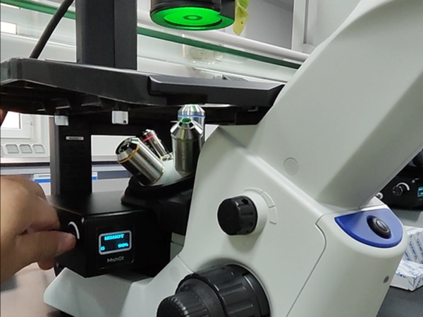 倒置显微镜CKX53升级荧光观察和荧光成像拍摄